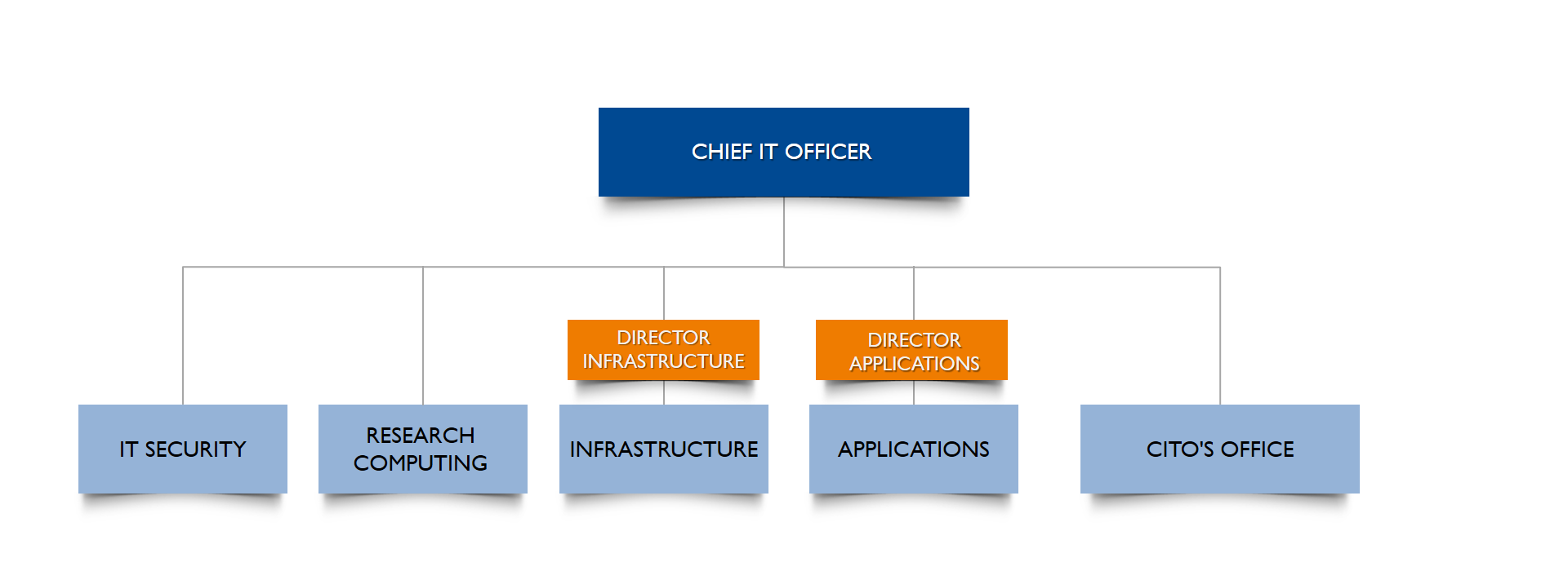 Organisation Structure – NUS Information Technology
