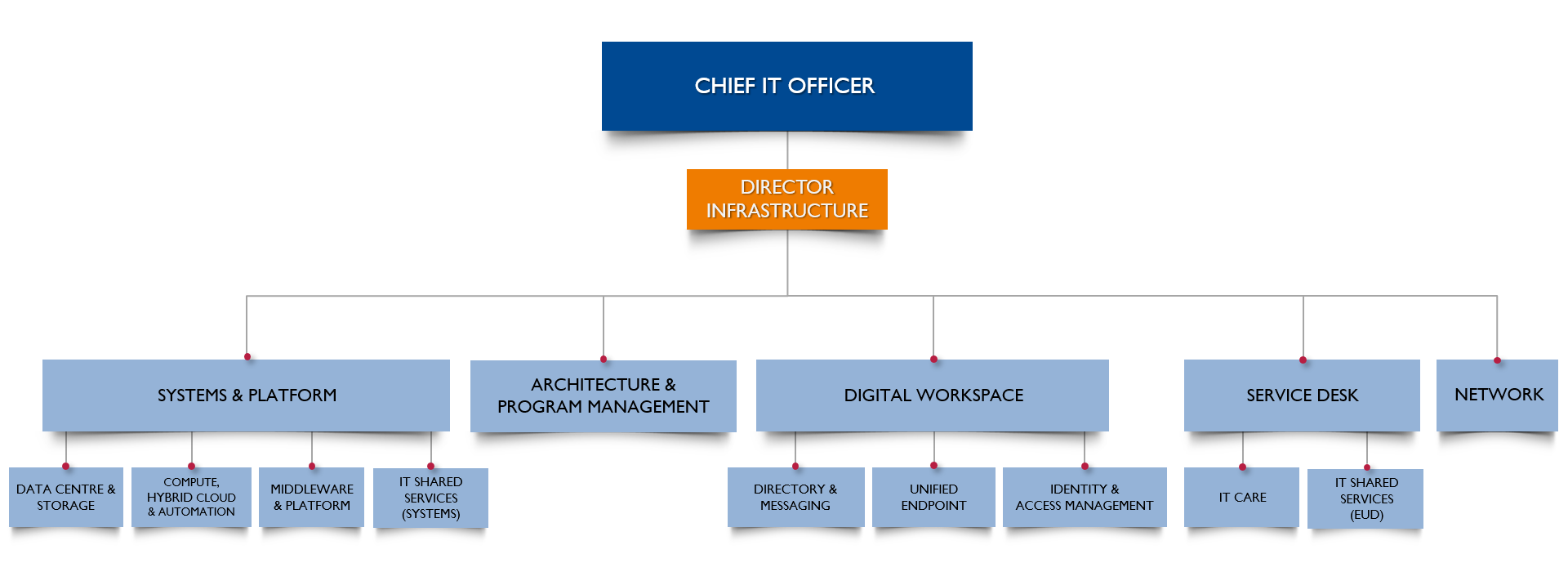 Organisation Structure – NUS Information Technology